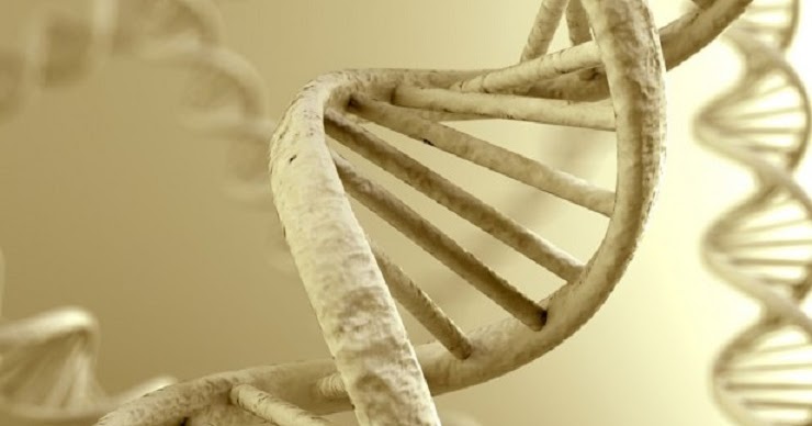 Desafiando a Nomenklatura Científica: DNA antigo e a história humana