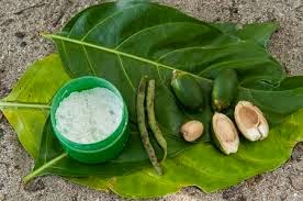 Complete betel nut ban in Port Moresby starts today - Papua New Guinea ...