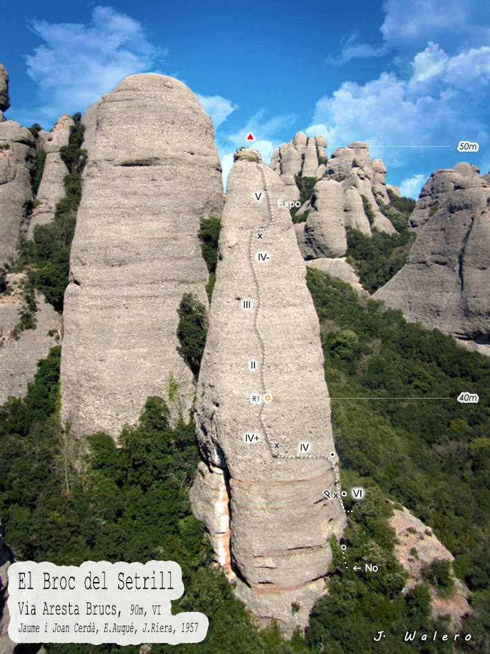 Aresta Brucs al Broc del Setrill