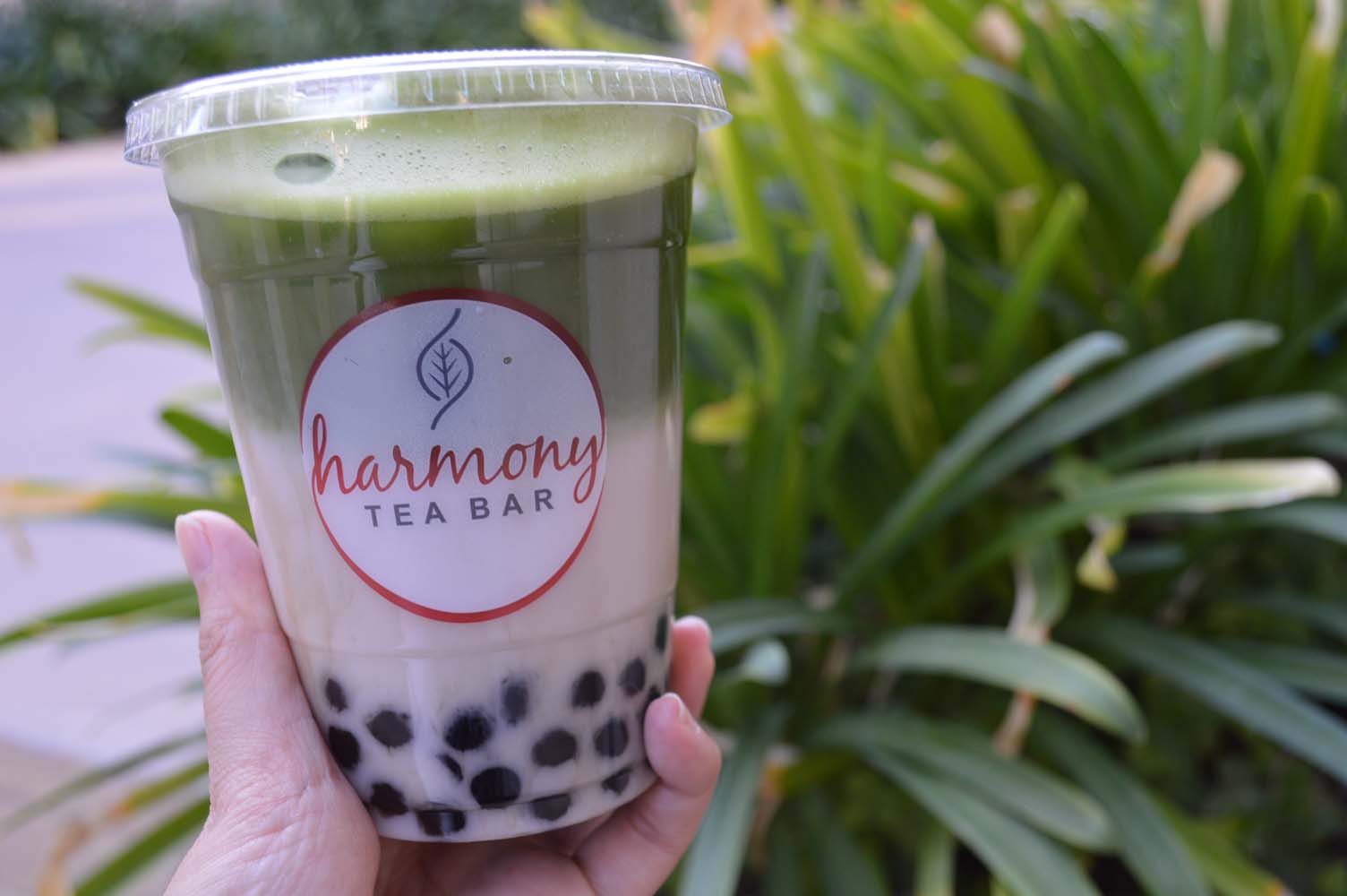 Be Addicted Guilt-Free Because Harmony Tea Bar Only Serves All Natural ...