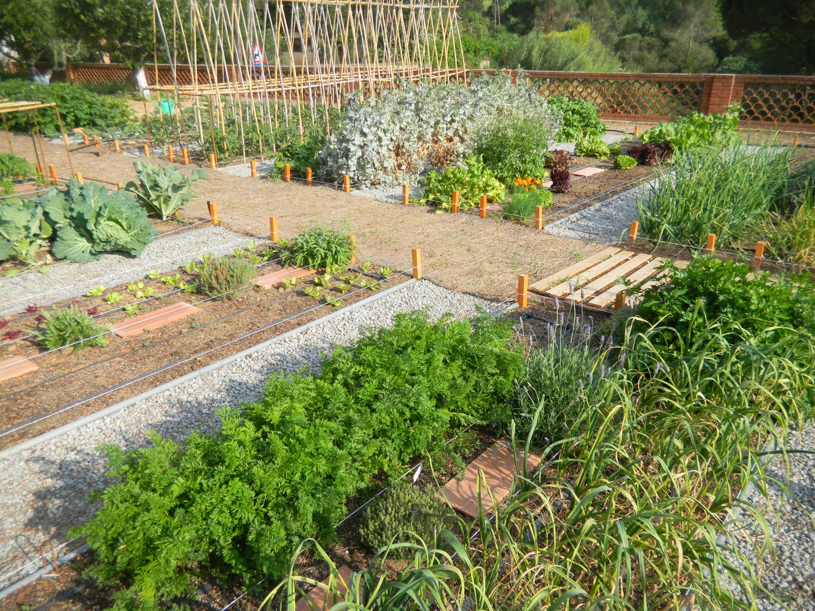 Som de dalt: FES UN HORT A LA TEVA VIDA, MENJA SALUD