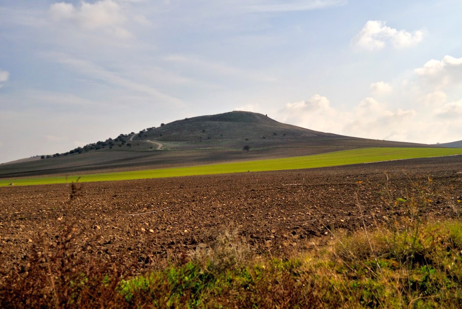 In Apulia: Frederick II the Swabian, puer Apuliae...