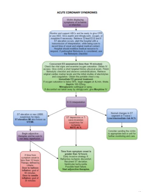 ACLS Study Materials