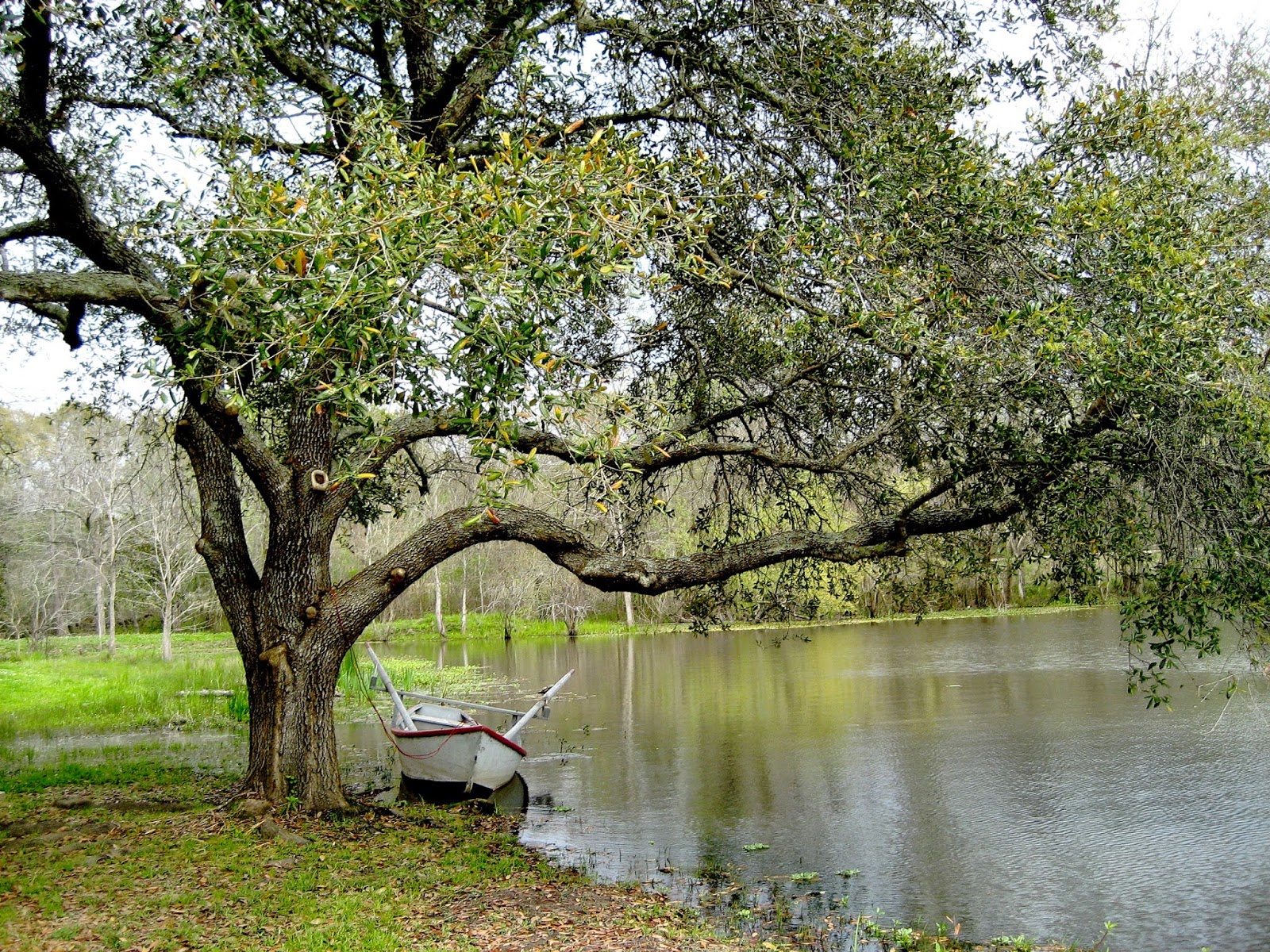 Living Rootless: Lafayette: Vermilionville Spring