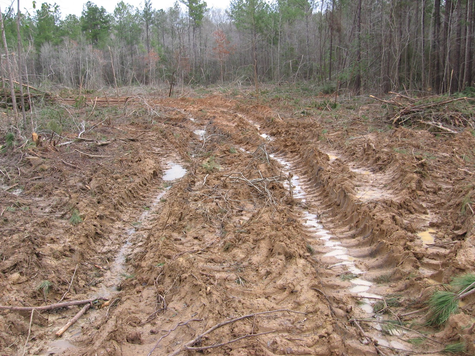 Texas A&M Forest Service: Water Resources: November BMP Q&A