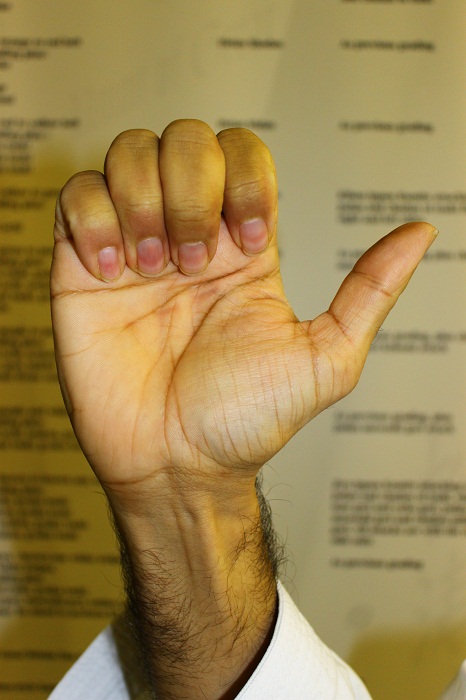 Meiyo Karate Club - Nottingham: Basics ... making a good fist