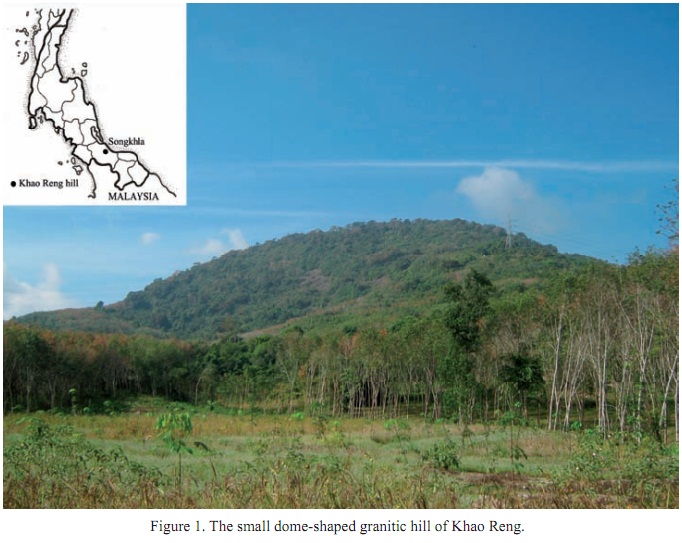 Species New to Science: [Botany • 2010] The vegetation structure on the ...