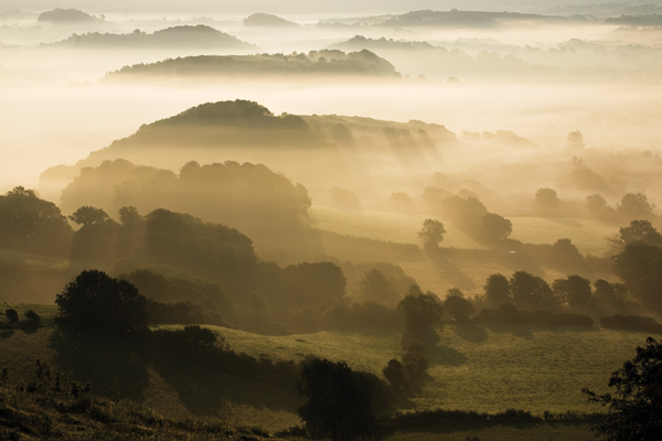 The Shed Photography: Graham Wiffen, our Artist of the Week, picks a ...