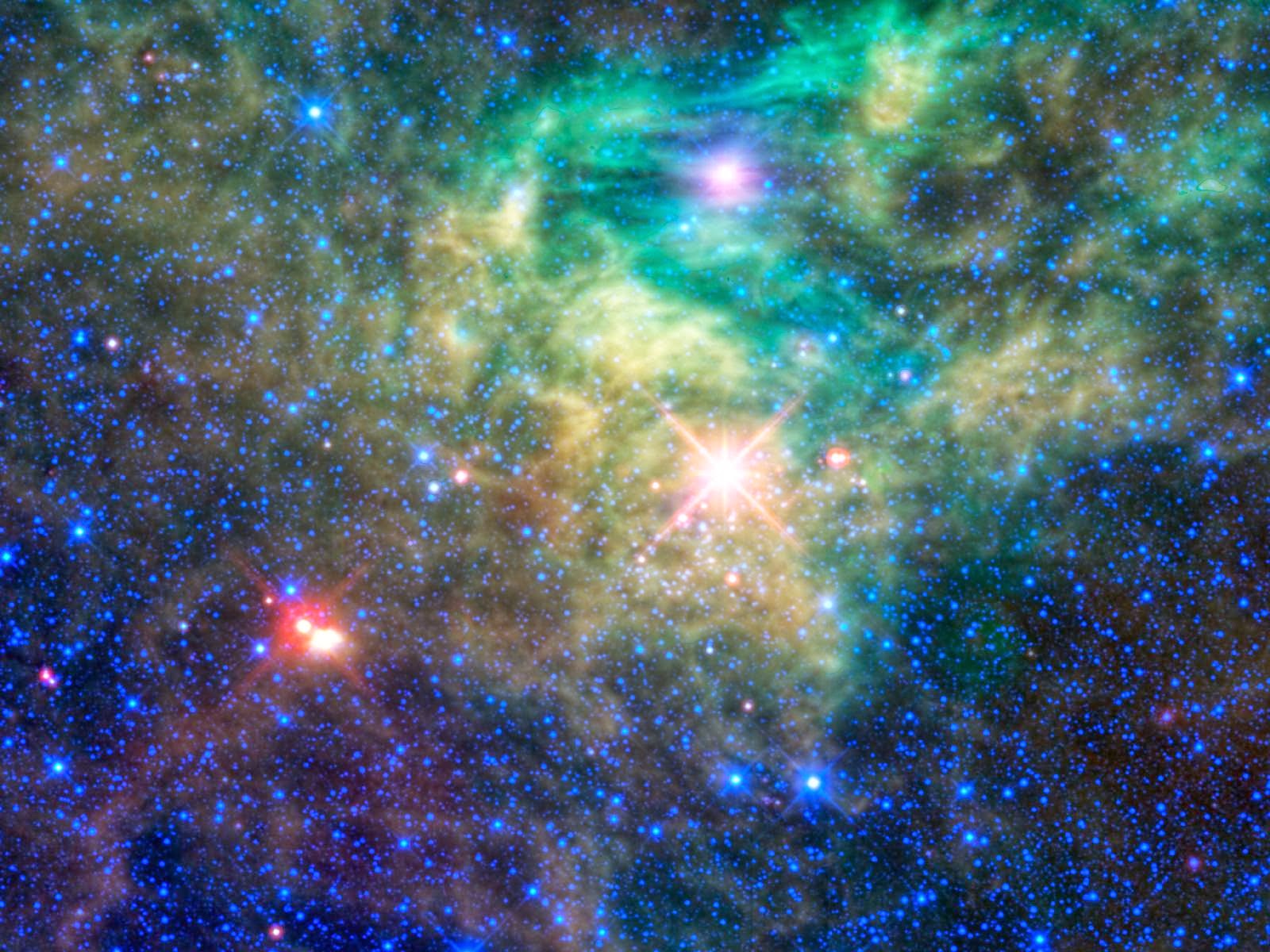 Peggy Cunningham: Shine Like Stars