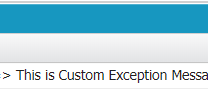 Salesforce Code Crack: How to show custom exception message in apex