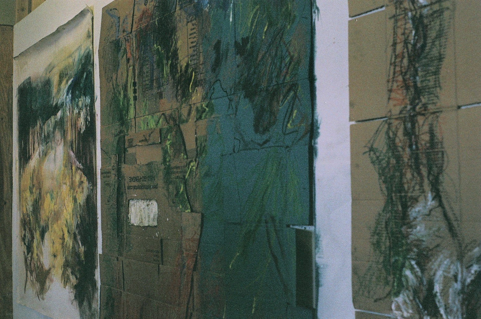 Anne Harris: My newest Paintings