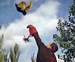 Los Ingredientes de La Vida: "El Halcón del Rey"