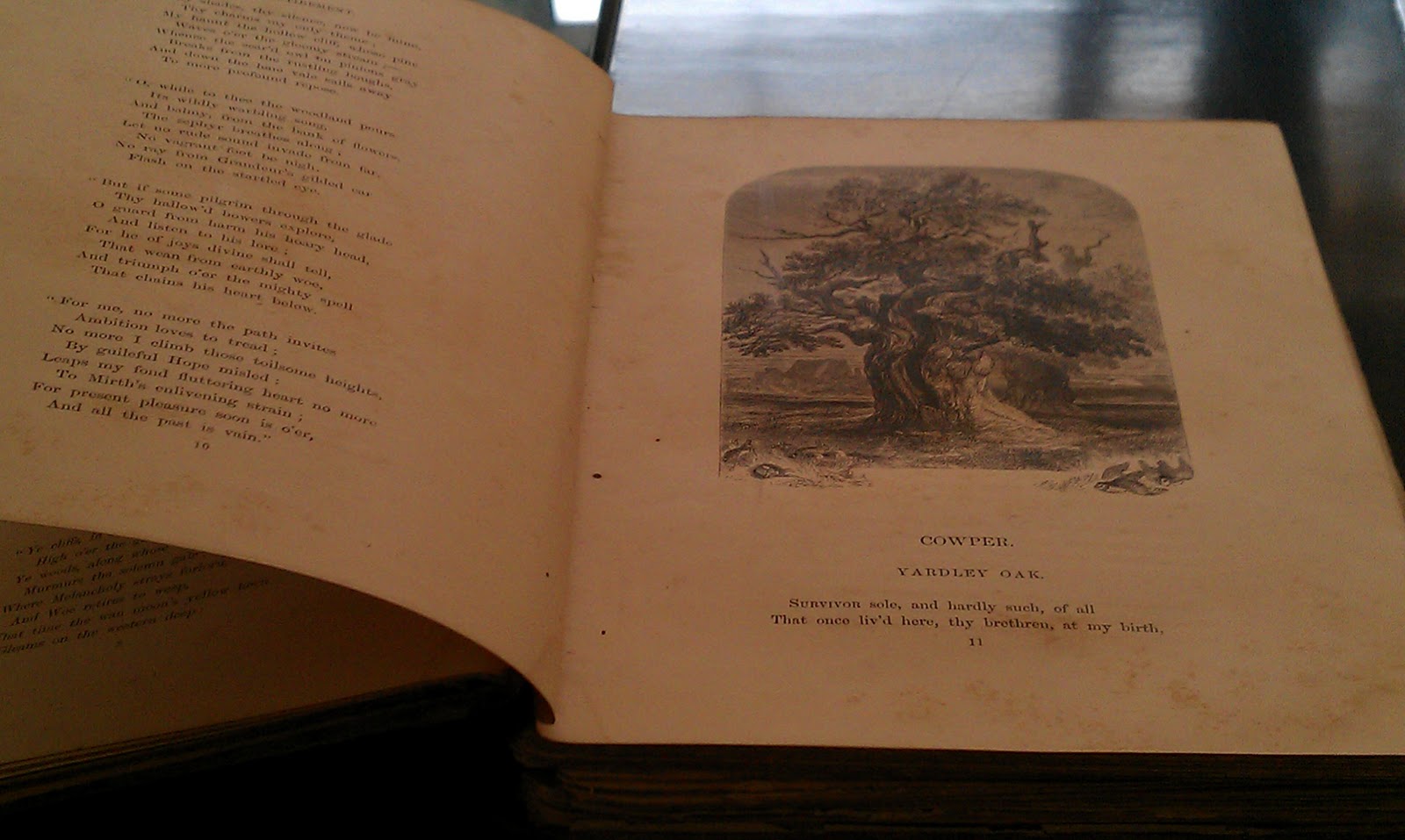 Nineteenth Century American Poetry : Poems Written by Famous Poets ...