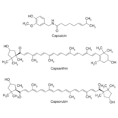 katkı maddelerinin zararlarını biliyor musunuz?: E160 Paprika ekstrakt ...