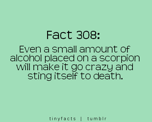 epiphany; the sudden realization or comprehension of the essence or ...