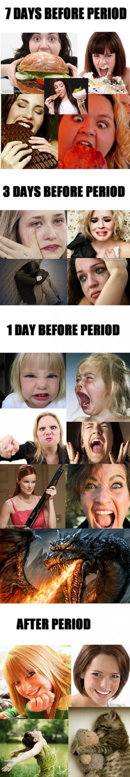 Easecox Amylinear Shape Up Your Life Before And After Period easecox-amylinear-shape-up-your-life-before-and-after-period