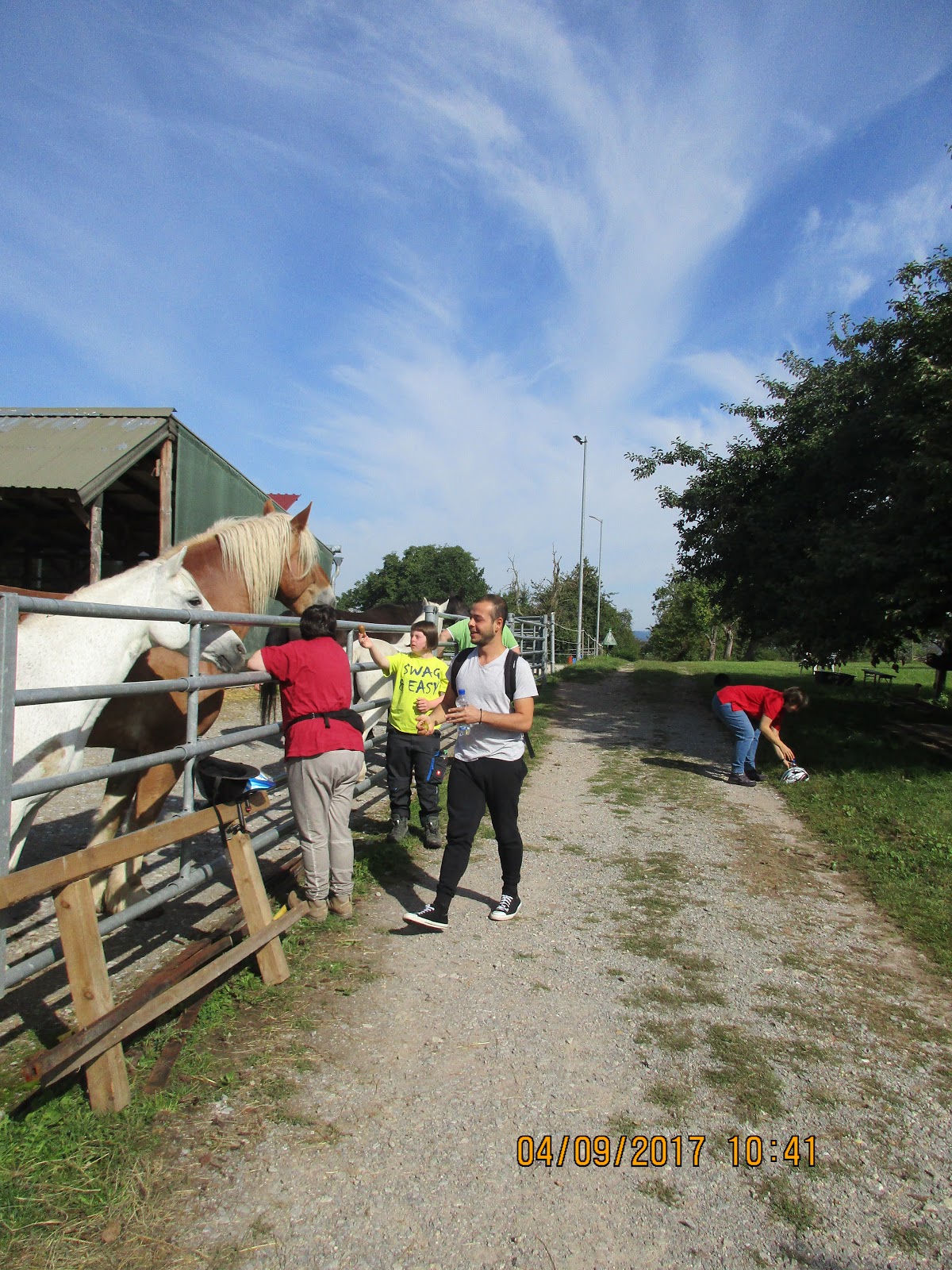 Reitfreizeit im Wilhelm-Traub Haus : Tag 4