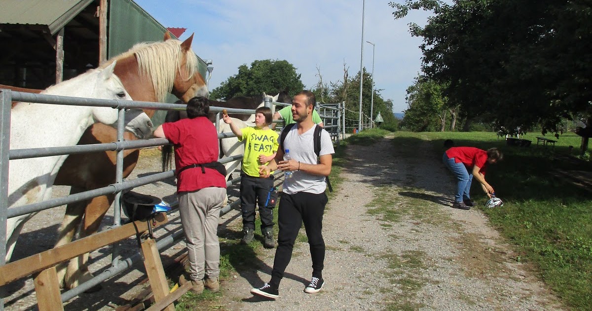 Reitfreizeit im Wilhelm-Traub Haus : Tag 4