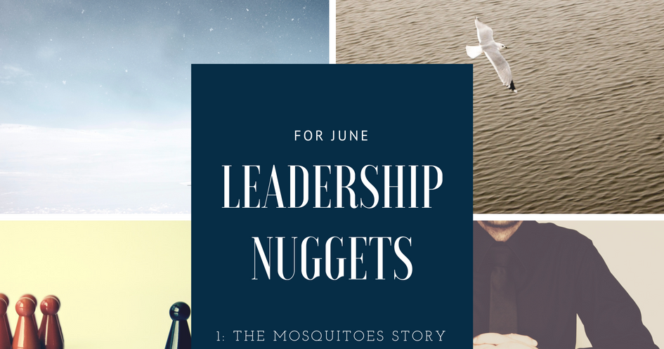 Leadership Nuggets- the mosquitoes story