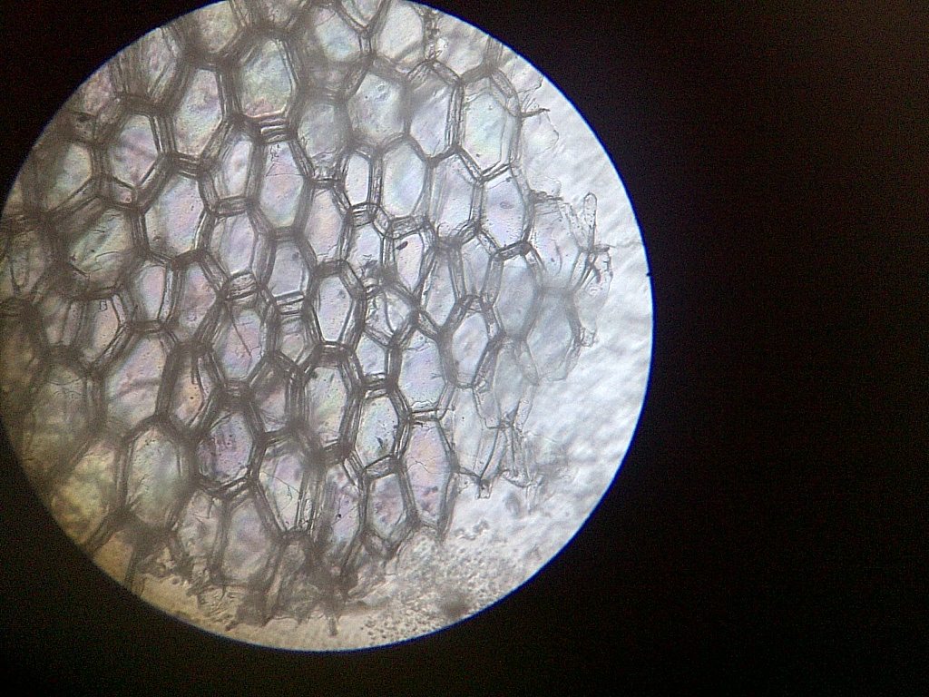 Sweet Times Of Our Life: Searching for some lights