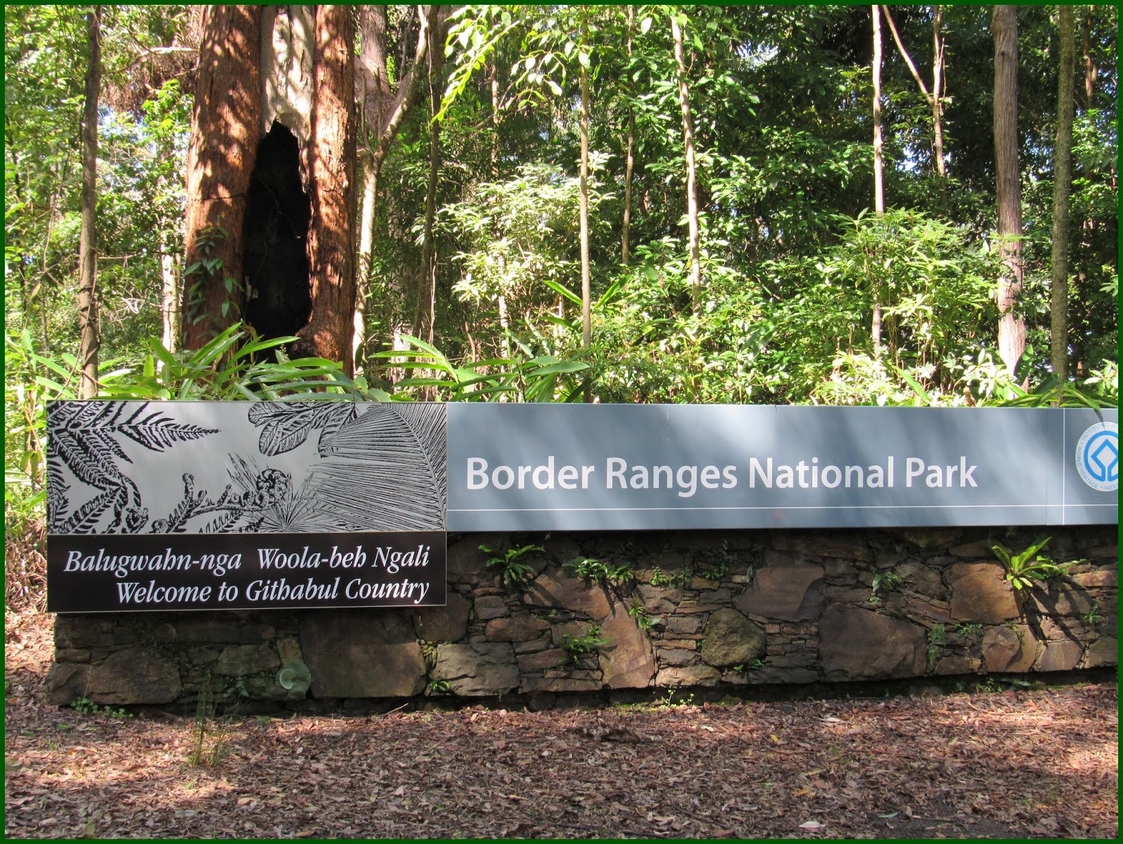 Tentworld: Touring Border Ranges National Park, NSW