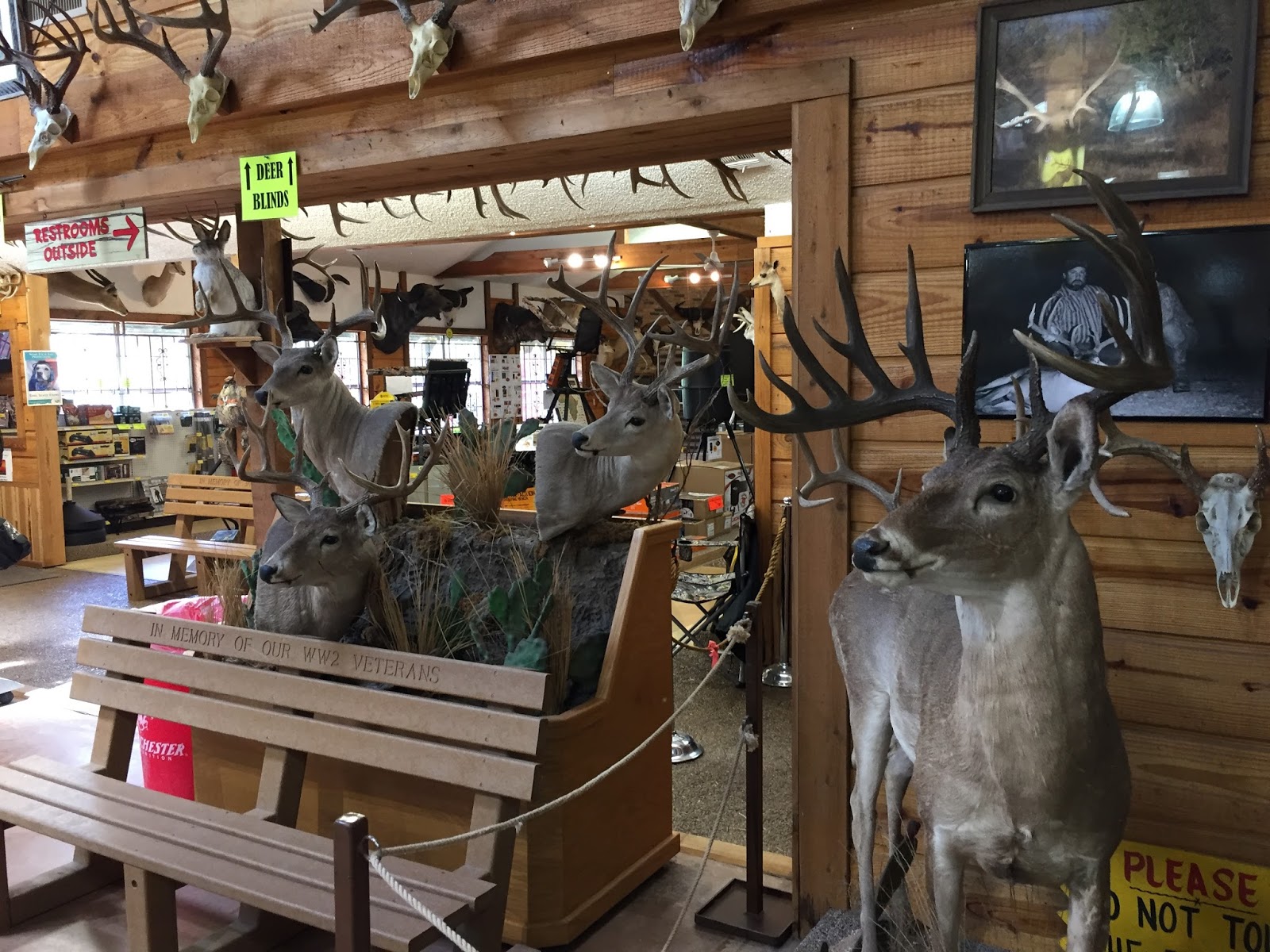 NationalForestHunter: Carter's Country Outdoors - A Texas Tradition