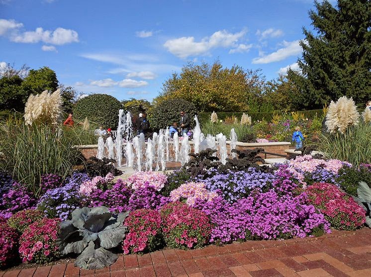 My Virtual Garden 2: Fall Flowers in Chicago