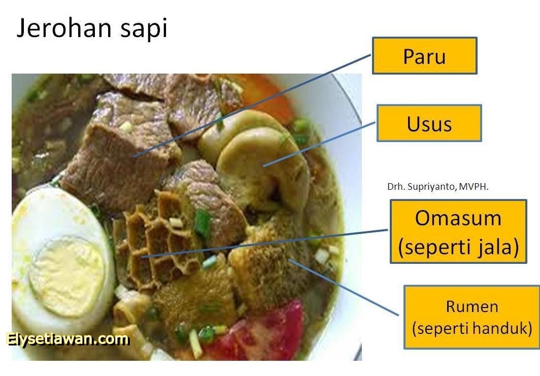 Bagaimana Membedakan Jerohan Sapi dan Babi - Elinotes review