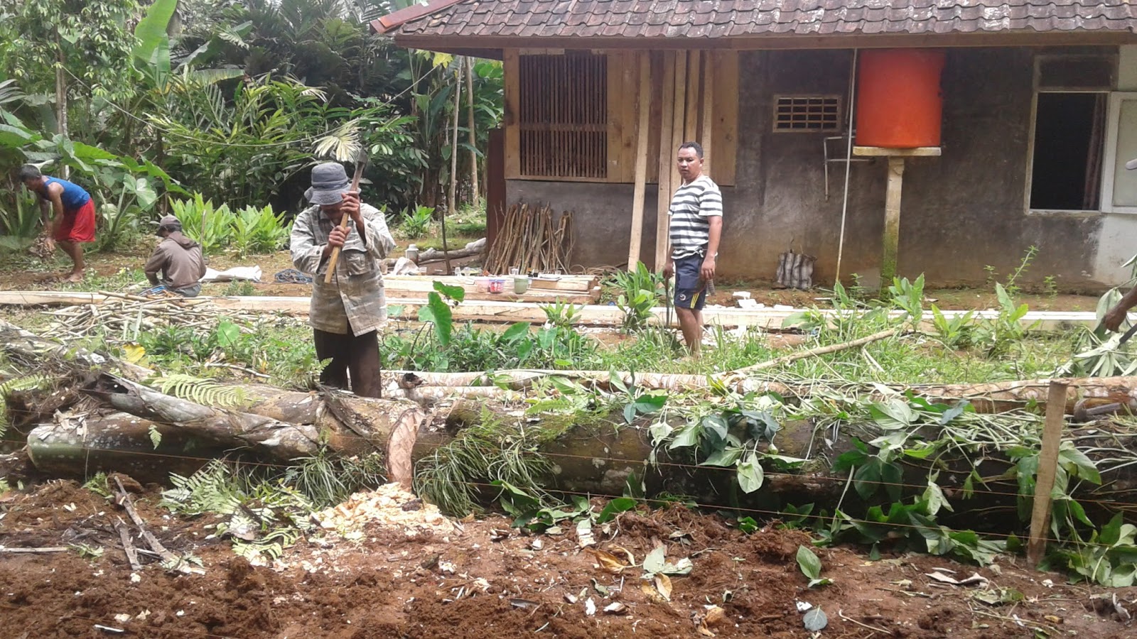 Top domba farm: Tahap Awal pembuatan Kandang TOP DOMBA FARM