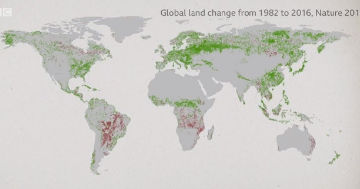 Maximizing Progress: Global Forestation ~ Changes over Time...
