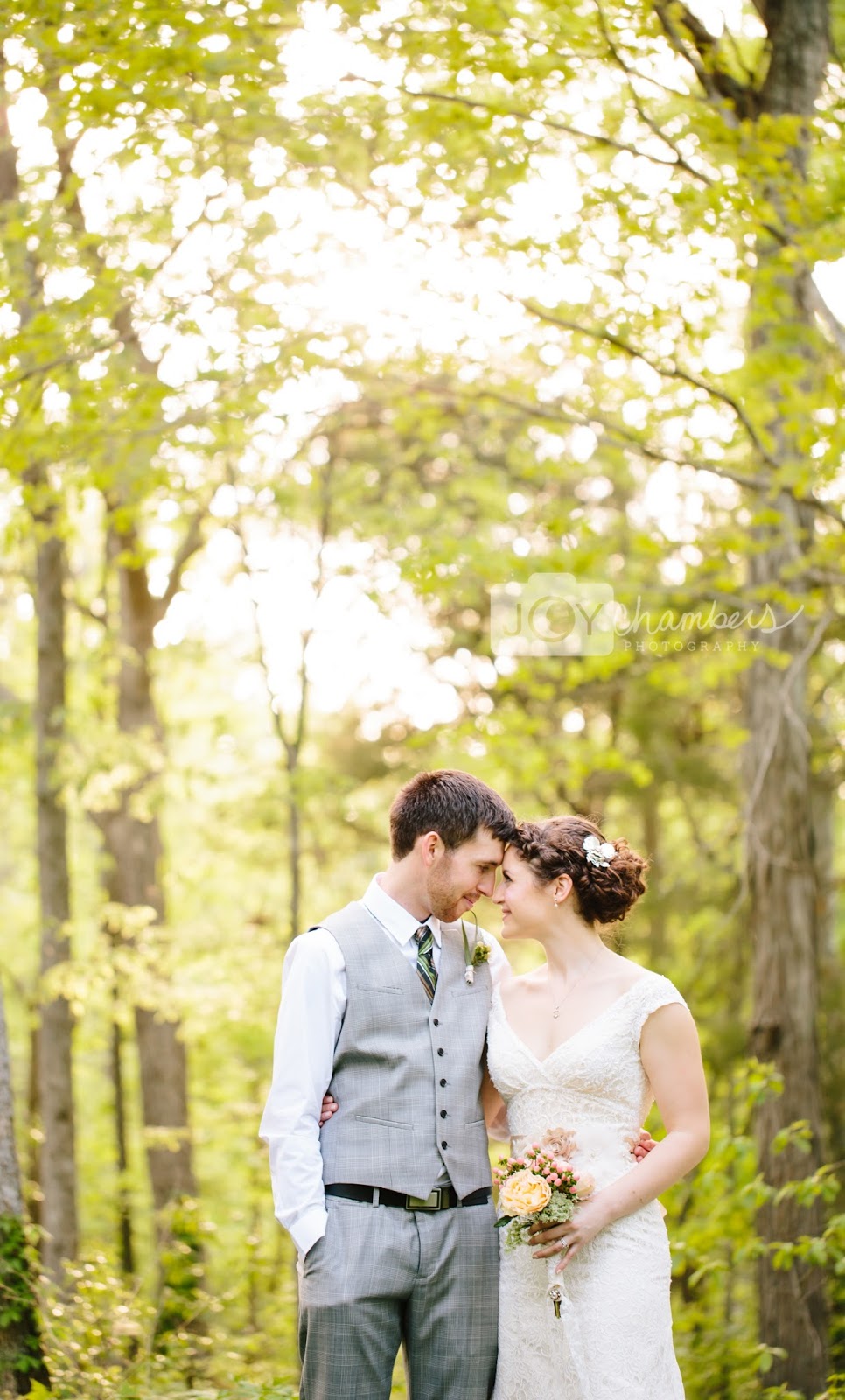 Joy Chambers Photography: Lizzy + Kieran | The Wren's Nest ...