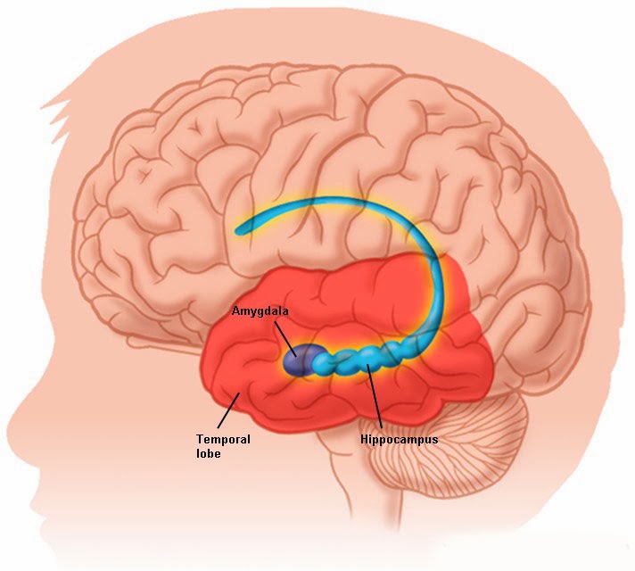 MYO Therapy & Healthcare Institute: February 2014
