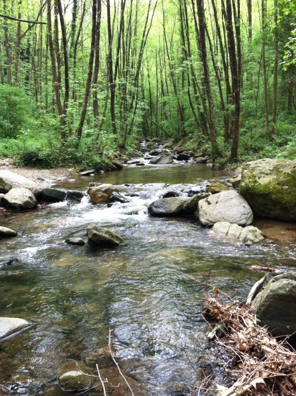 La Natura a la Baixa Tordera: Barb roig (Phoxinus bigerri) a la Conca ...