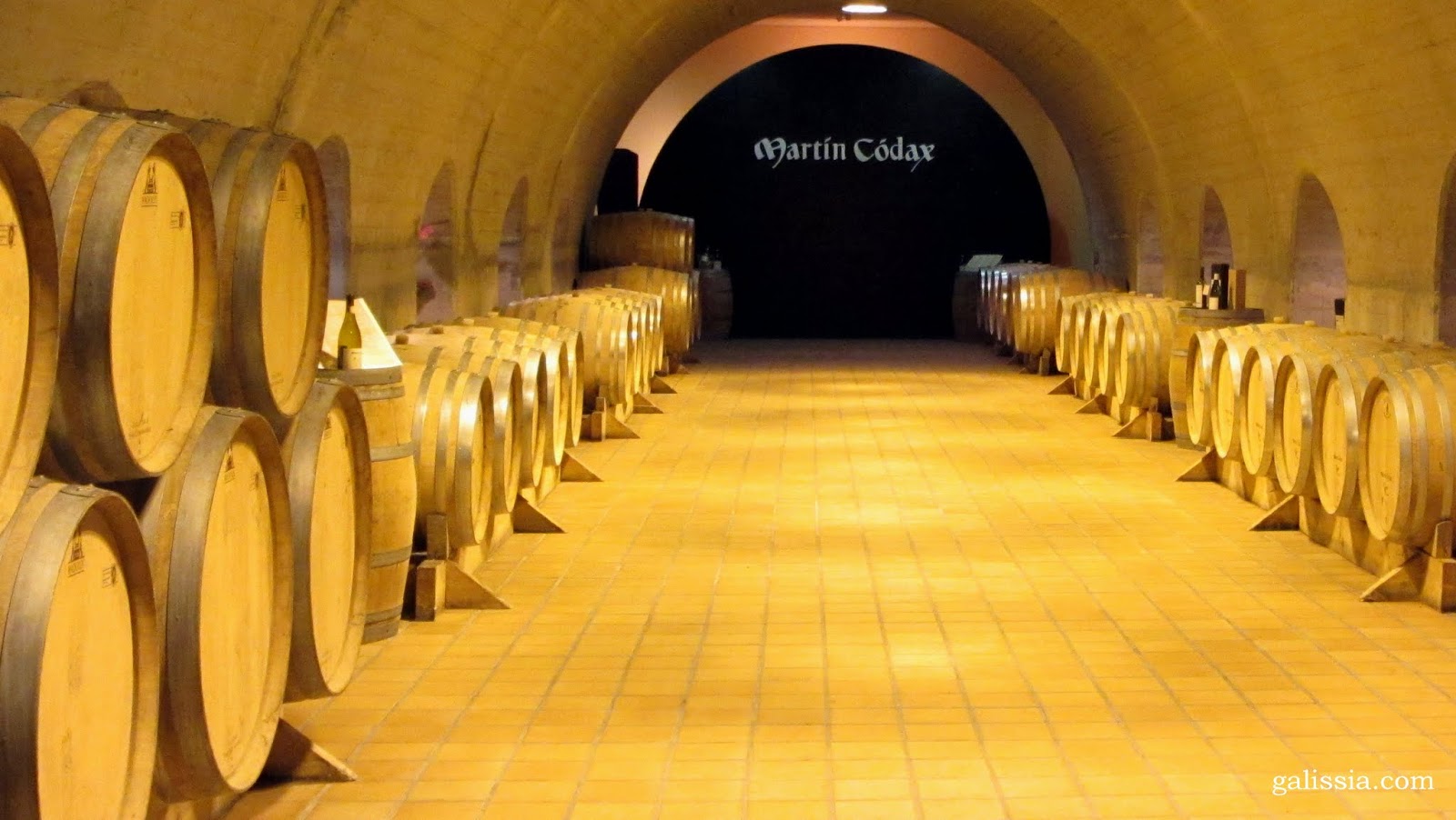 Visita a las Bodegas Martín Códax - Galissia