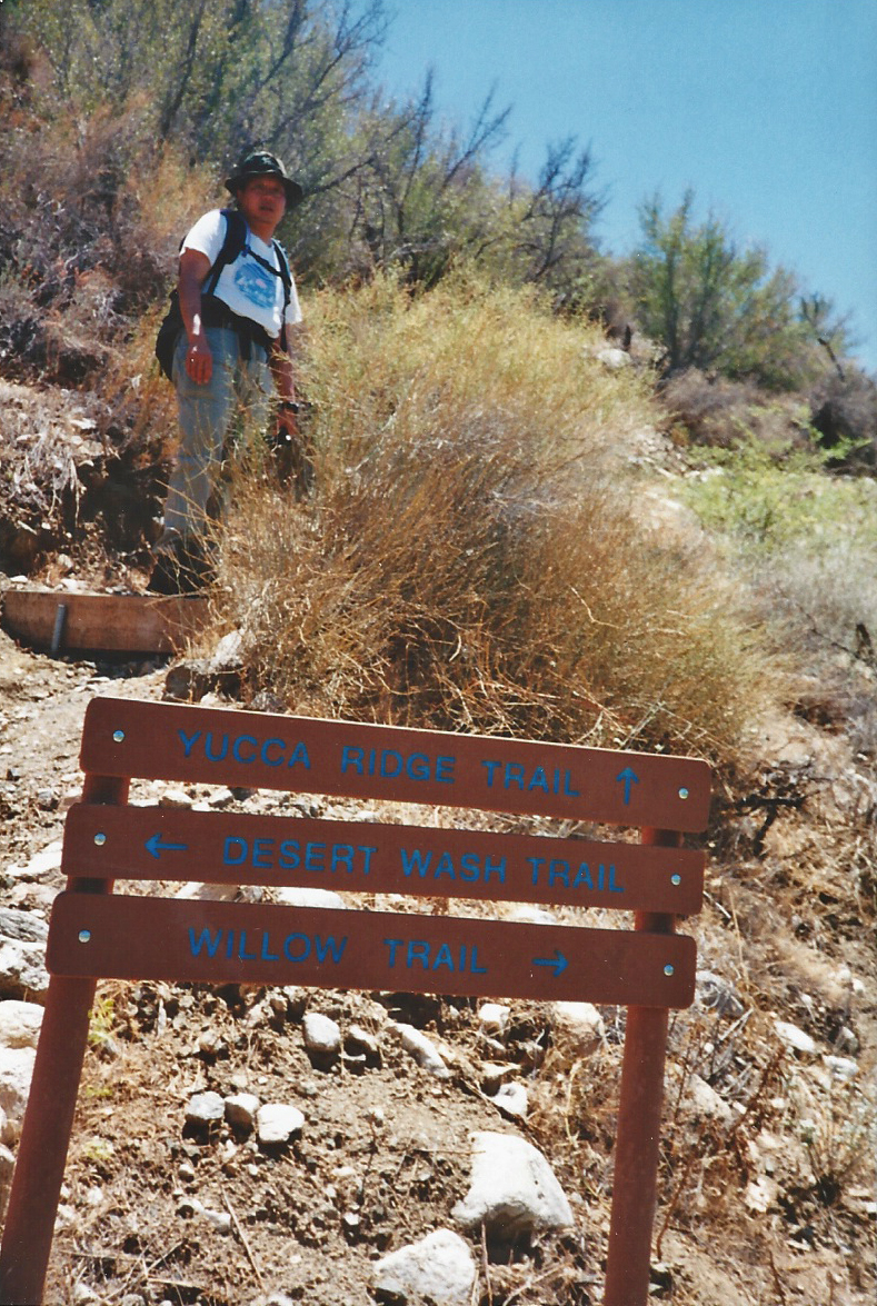 Western Sojourns: Travels with Camissonia: BIG MORONGO CANYON PRESERVE ...
