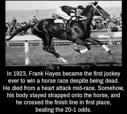 Bulldust over a Kiwi BBQ: The Kiss Of Death - Thoroughbred!!