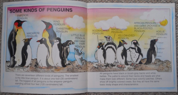 Blue Sky, Big Dreams: A Penguin Obsession