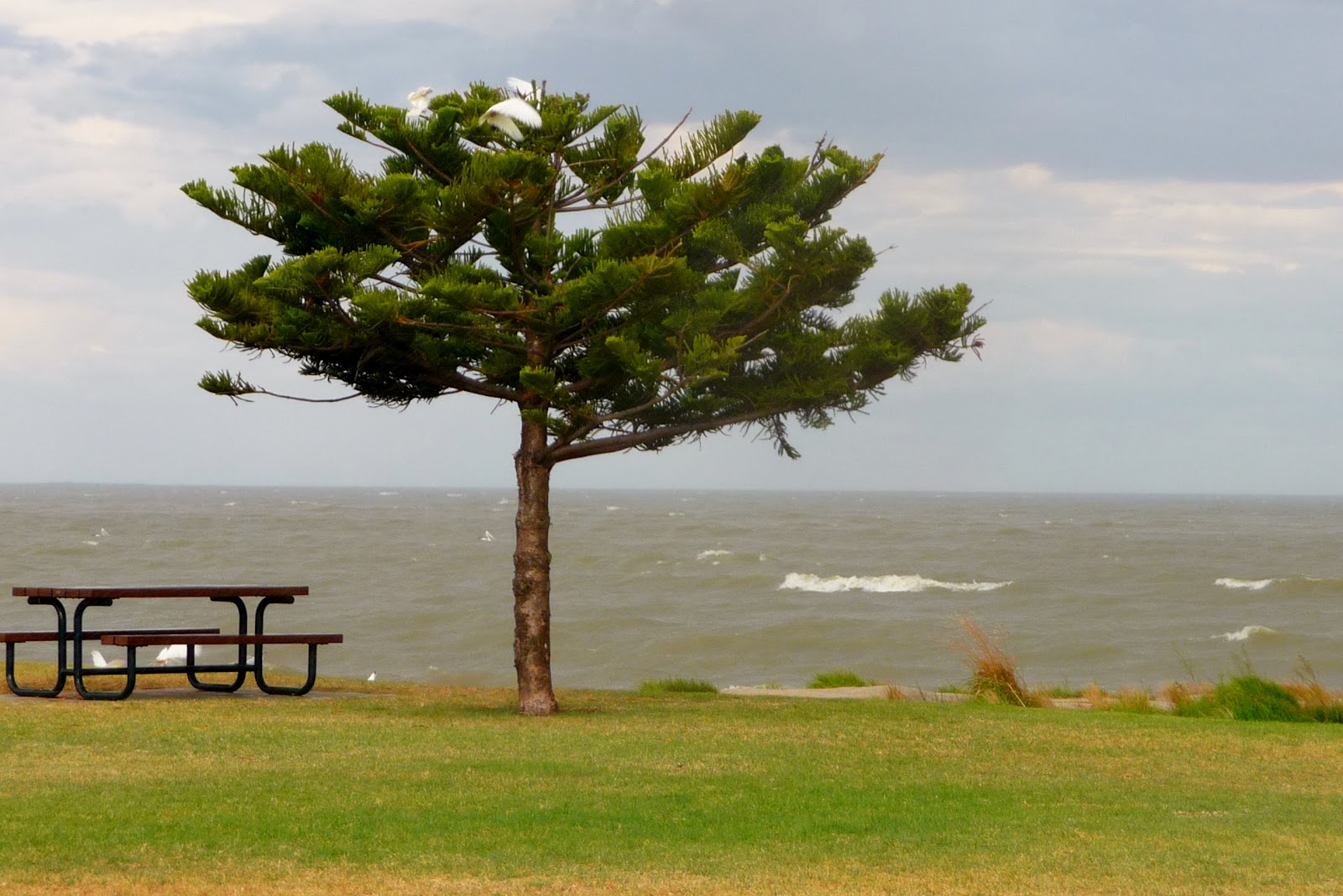 On the Road and at Home: Milang, South Australia