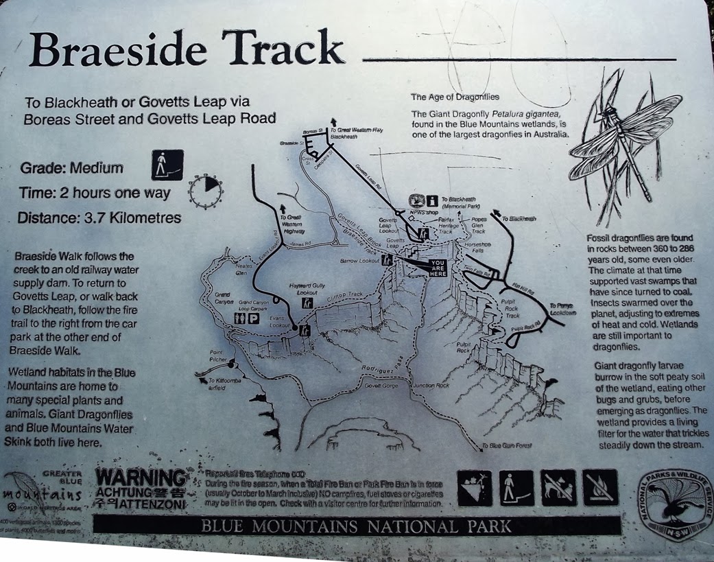 John's Blue Mountains Blog: THE BRAESIDE WALK, BLACKHEATH BLUE ...