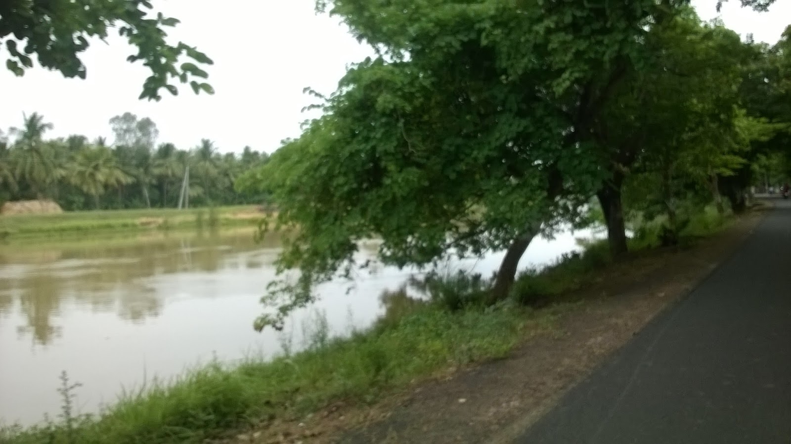 Explore RAJAHMUNDRY: # Sri Venkateswara Swamy Temple,Vadapalli