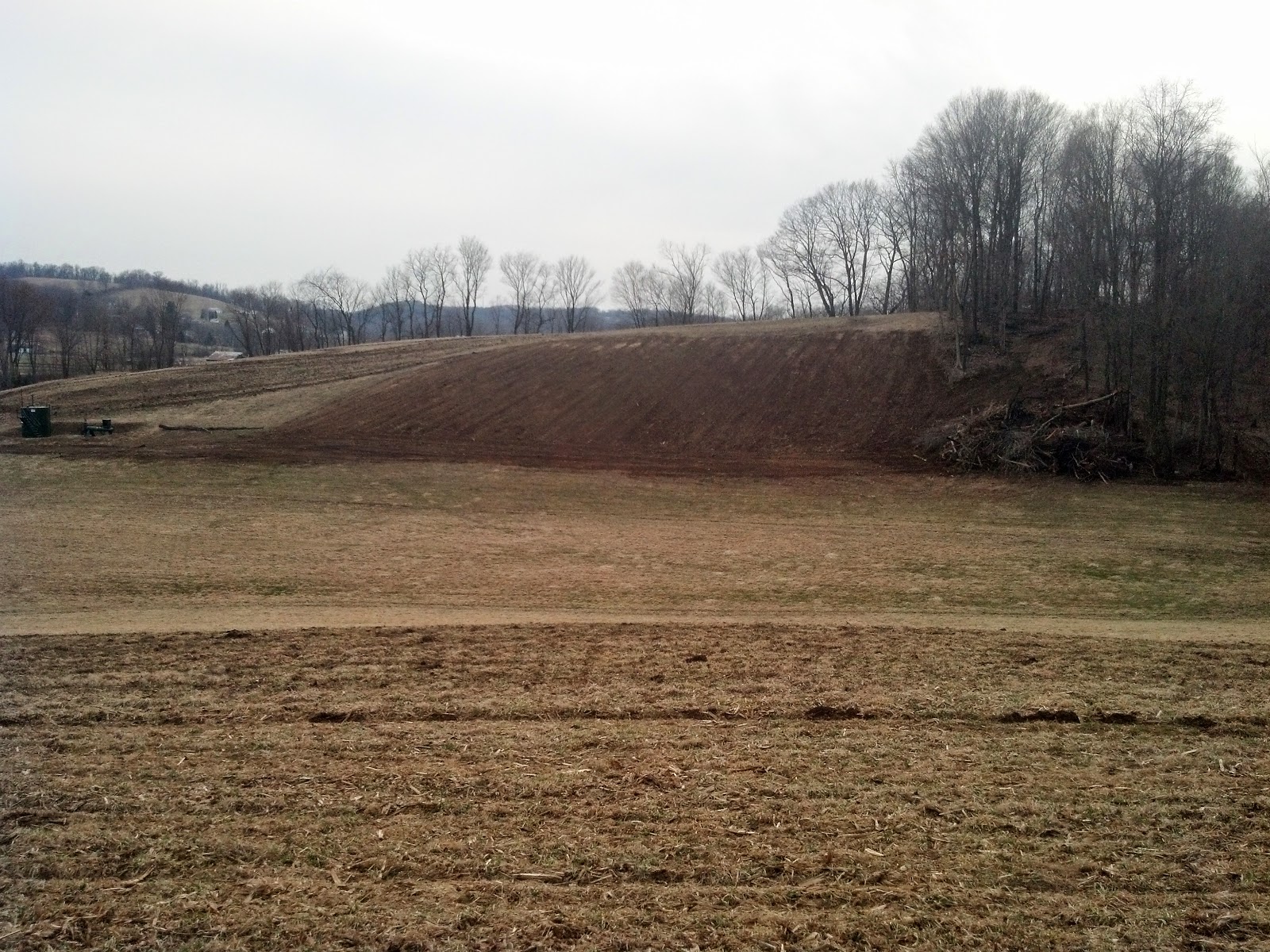 Conser Run Report: Field clearing project almost done and a surprise ...