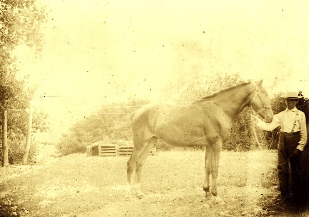 A drifting cowboy: Cowboy Legacy -- Belgian horses