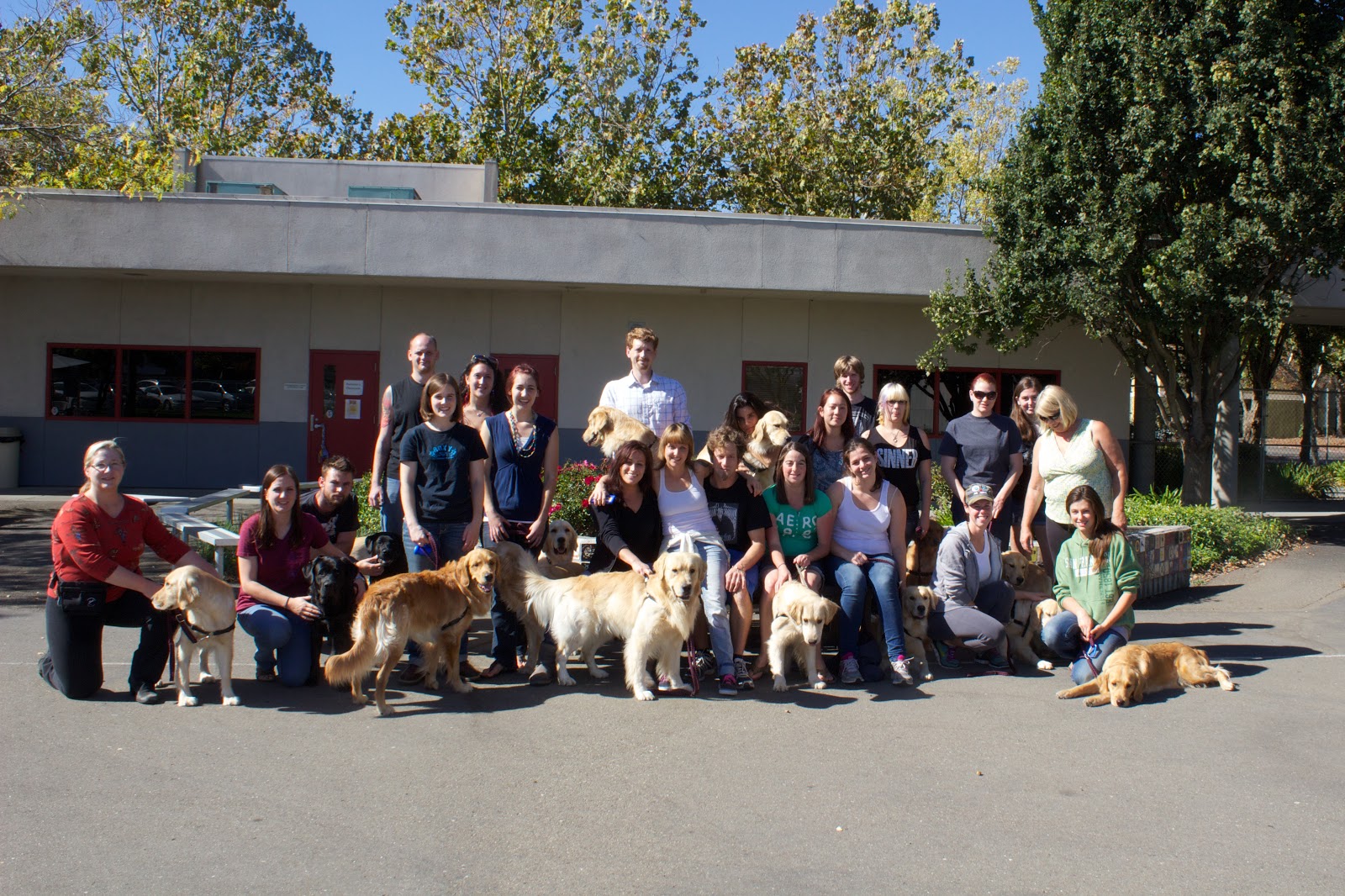 FRiSKY FiTNESS: The fit will survive...the frisky fit will thrive!: The ...