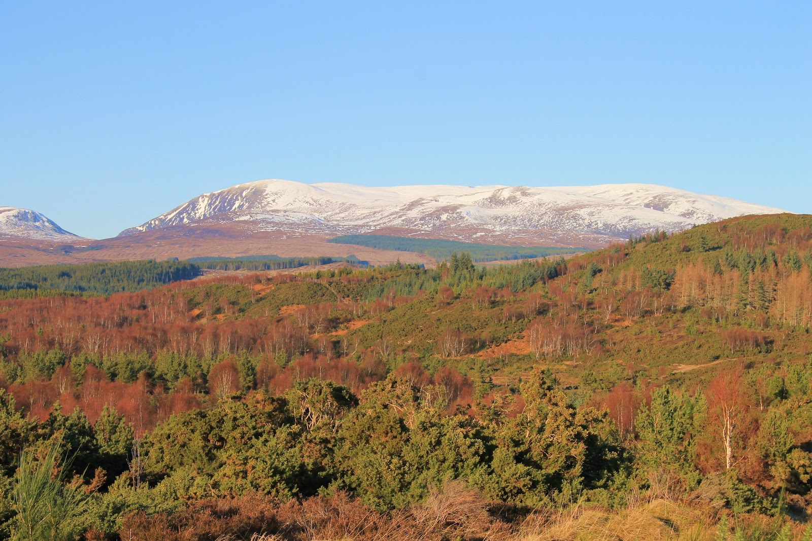 Highland cyclist: Strathpeffer ride