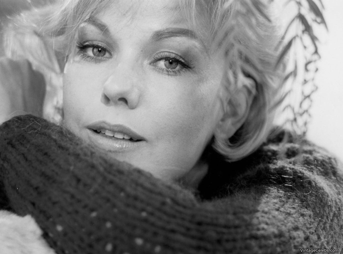 Noir and Chick Flicks: Kim Novak five movie tribute.