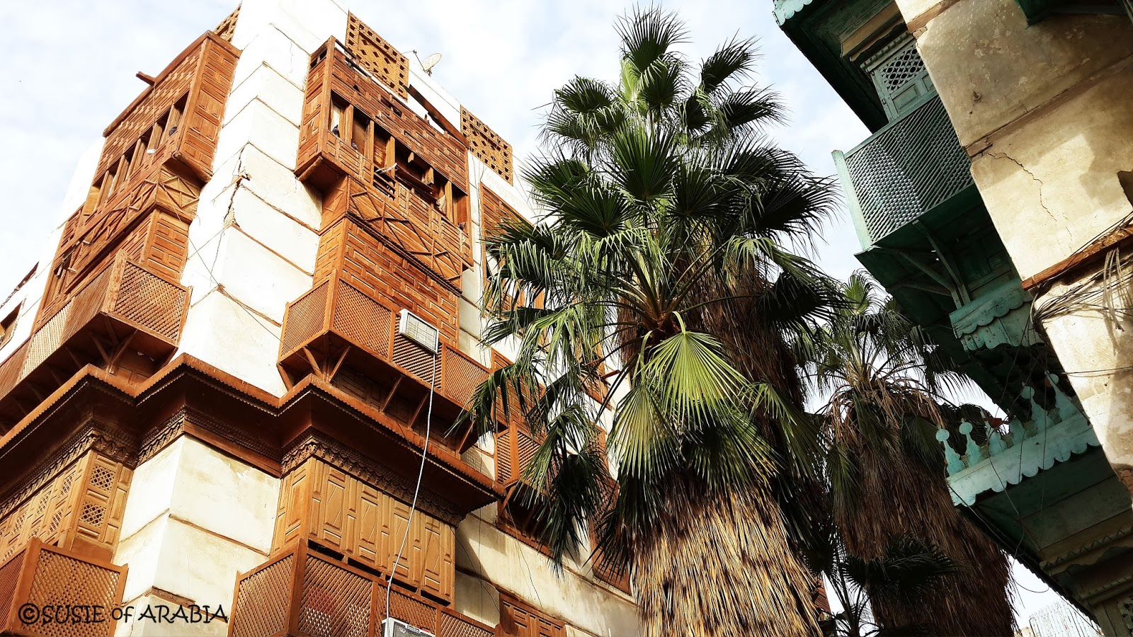 Jeddah Daily Photo: SkyWatch: Palm Trees Between Rawasheen