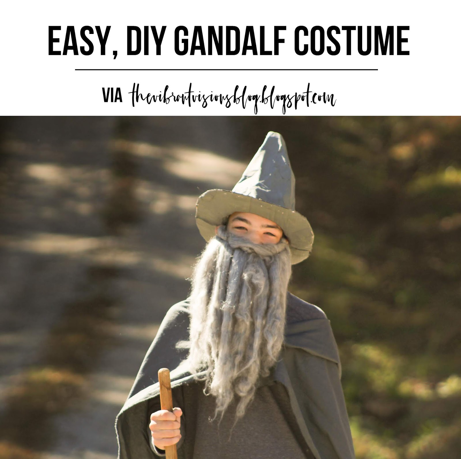 the Vibrant Visions blog: DIY Gandalf Costume