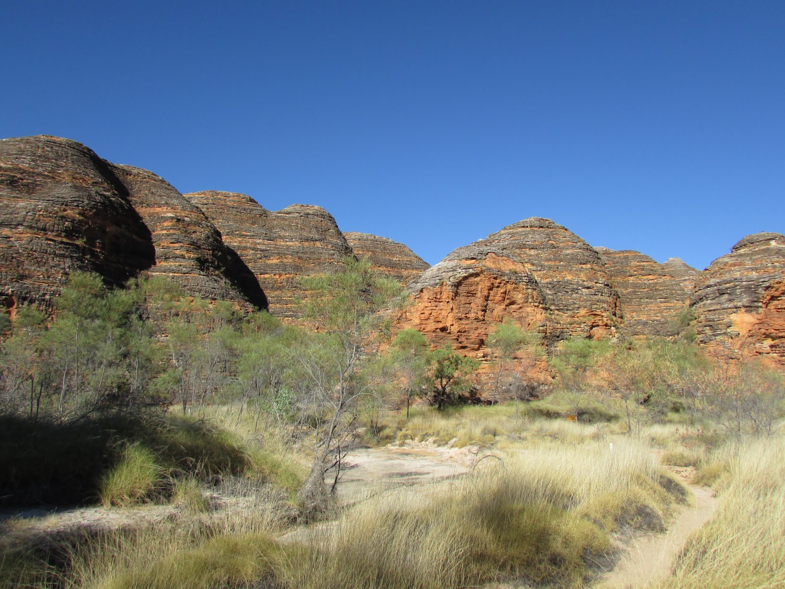 Scheffer Family's Great Aussie Adventure - 2013: 1 July -2 July 2013 ...