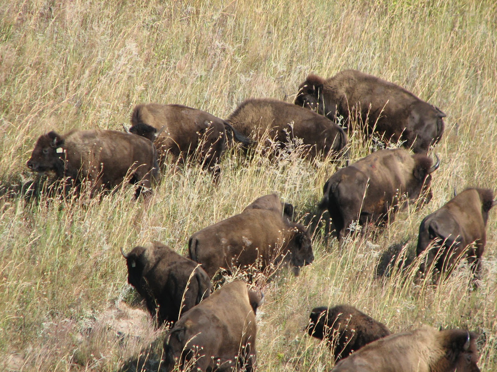 TWKBFTTA and more - MoonRise Gallery