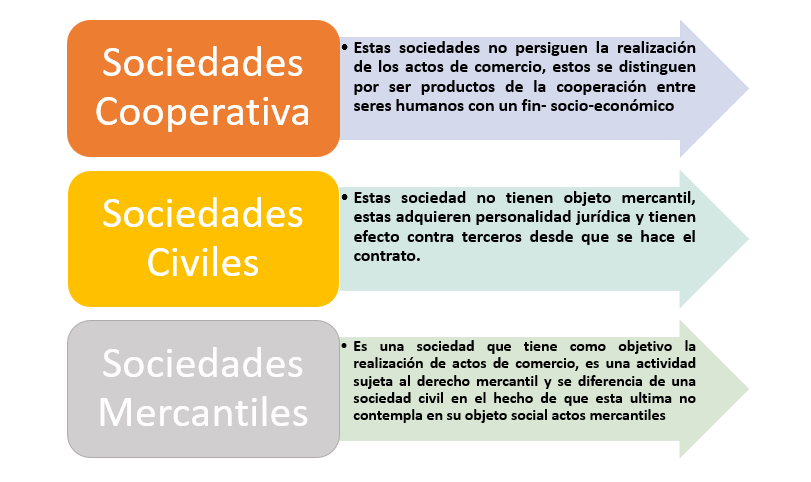 Las Sociedades ¿Que son?